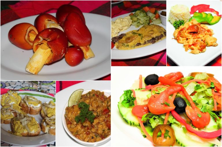 9 recetas con los apetecidos choros de La Esperanza, Intibucá - Buen ...