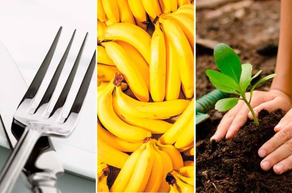 ¡No las tires! Usos que puedes darle a las cáscaras de banano maduro