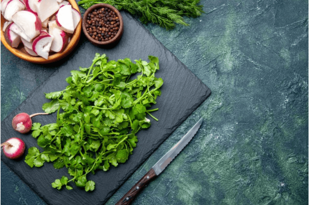 5 consejos a seguir para que el cilantro dure fresco por más tiempo