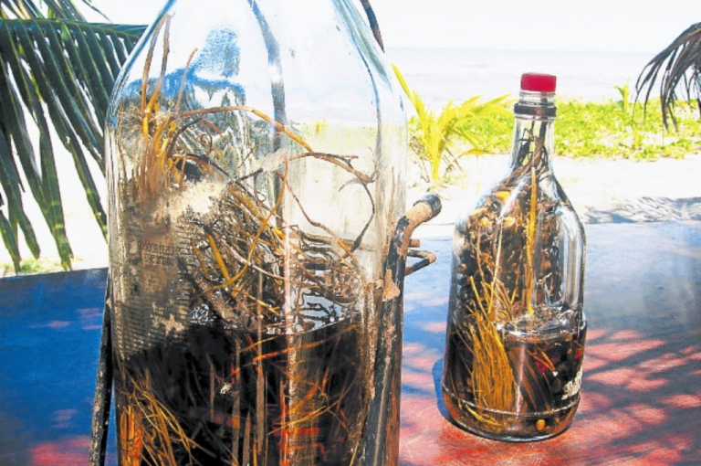 Sabor garífuna: 5 platillos llenos de historia y tradición