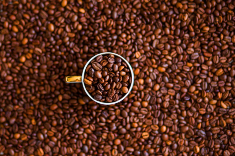 ¿Por qué el café de Santa Rosa de Copán es toda una sensación en Honduras?