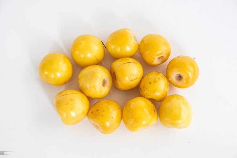 ¿En qué época del año se puede encontrar el nance en Honduras?