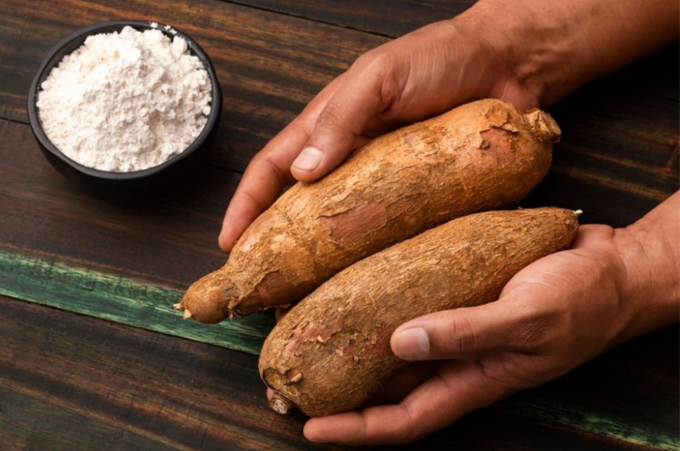 Explorando la cocina garífuna y sus ingredientes autóctonos