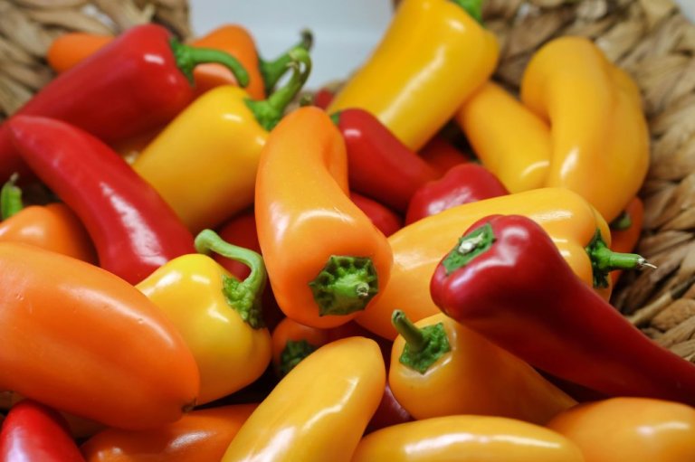 Aprende a seleccionar los chiles para preparar tus platillos favoritos