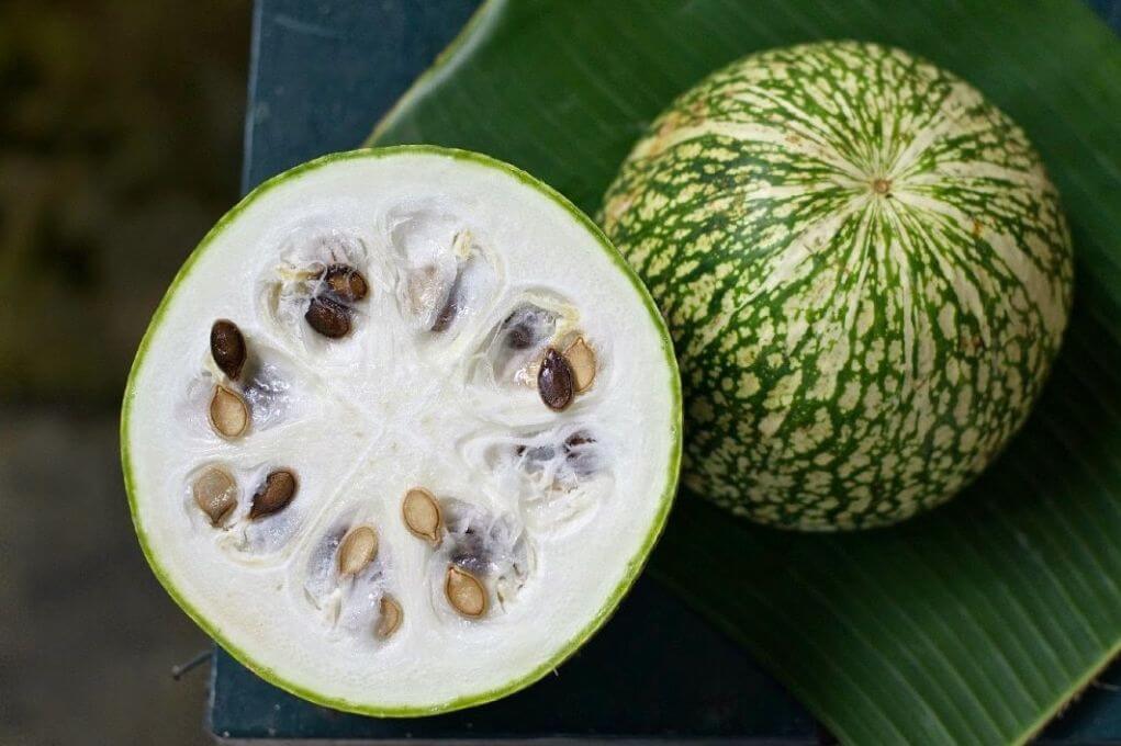 El chiberro, una fruta emblemática de Honduras